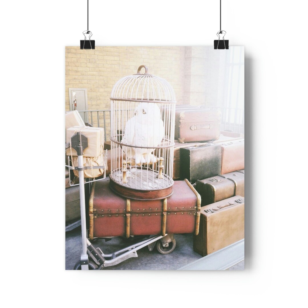 Hedwig at Kings Cross Premium Poster - Etsy