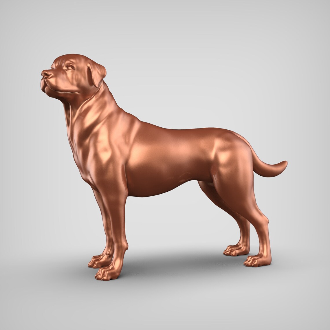 Rottweiler STL File 3D Print Model Pose 01 - Etsy