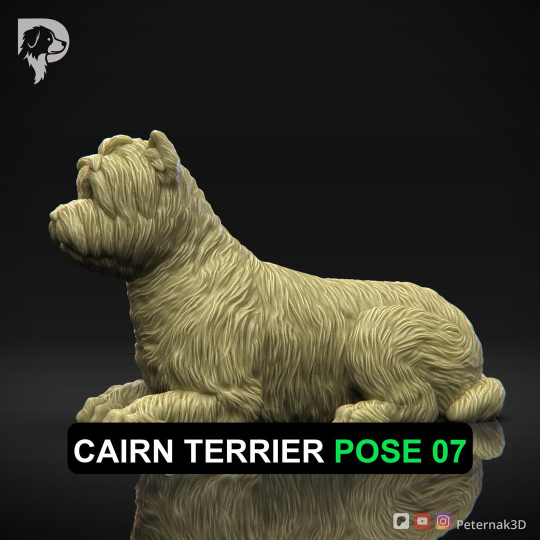 Cairn Terrier Dog 3D Print Model Pose 07 - Etsy
