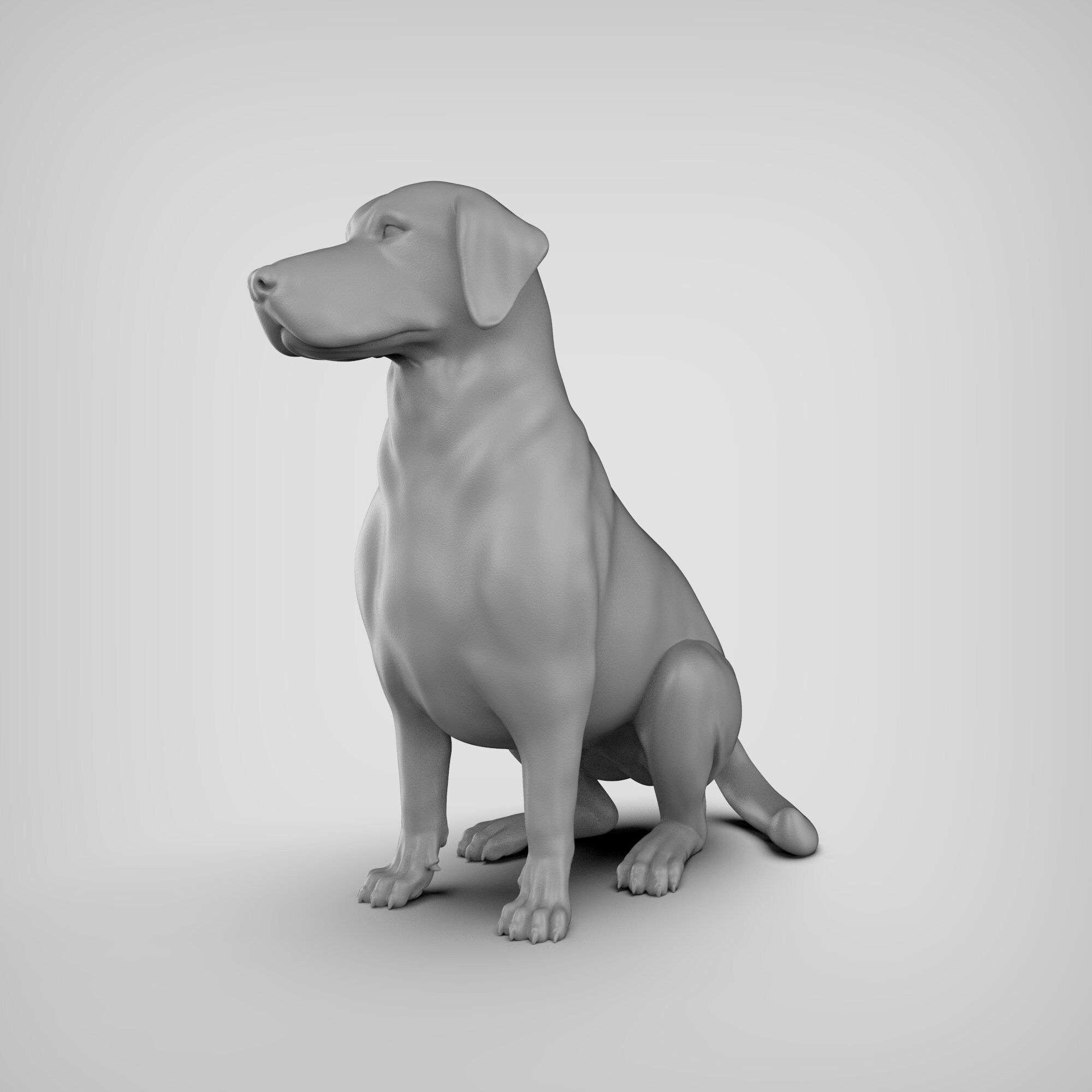 Labrador Retriever STL File 3D Print Model Pose 03 | Etsy India