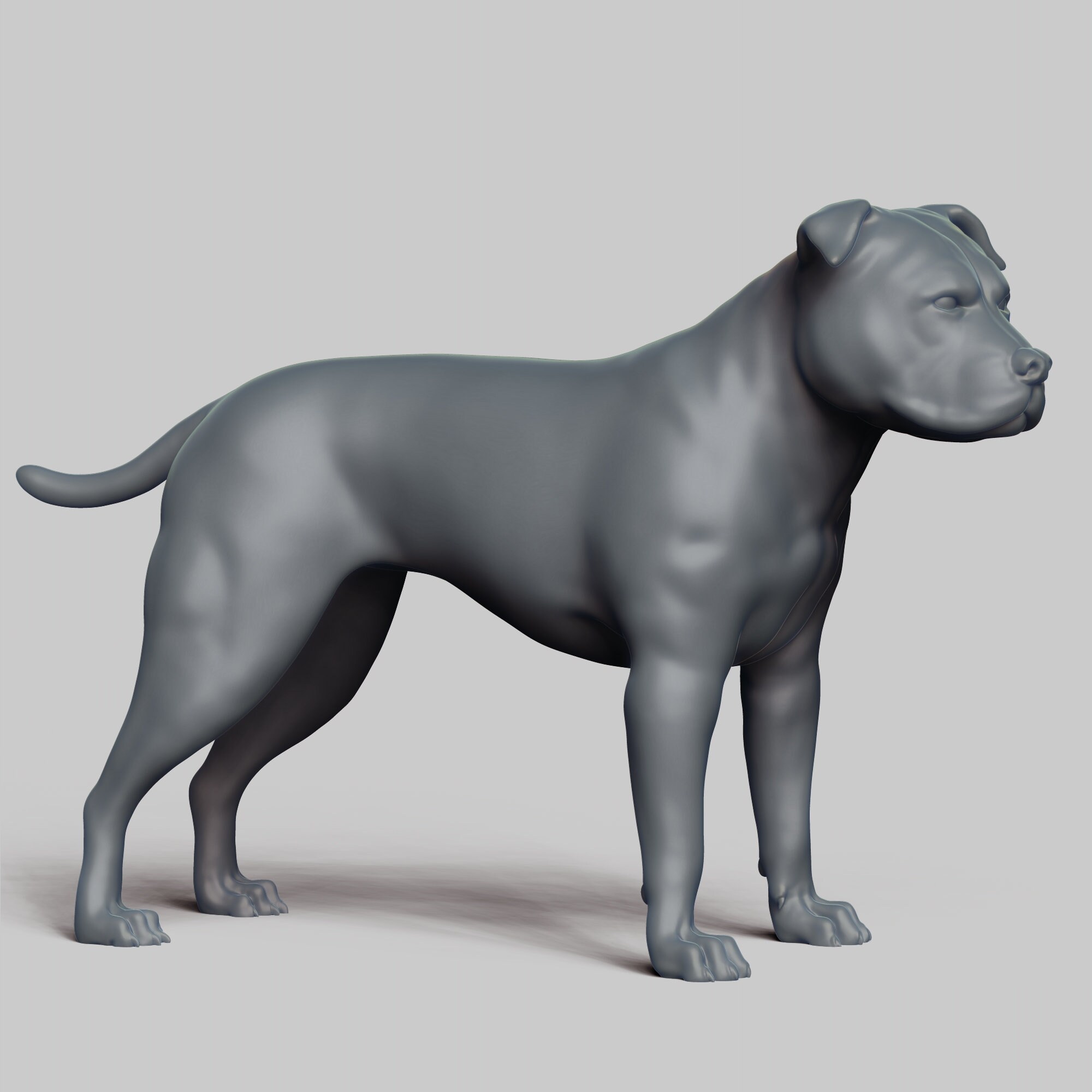 Staffy STL File 3D Print Model V1 | Etsy UK