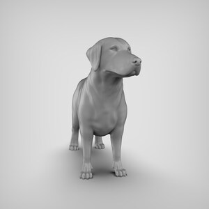 Labrador Retriever STL File 3D Print Model Pose 01 - Etsy