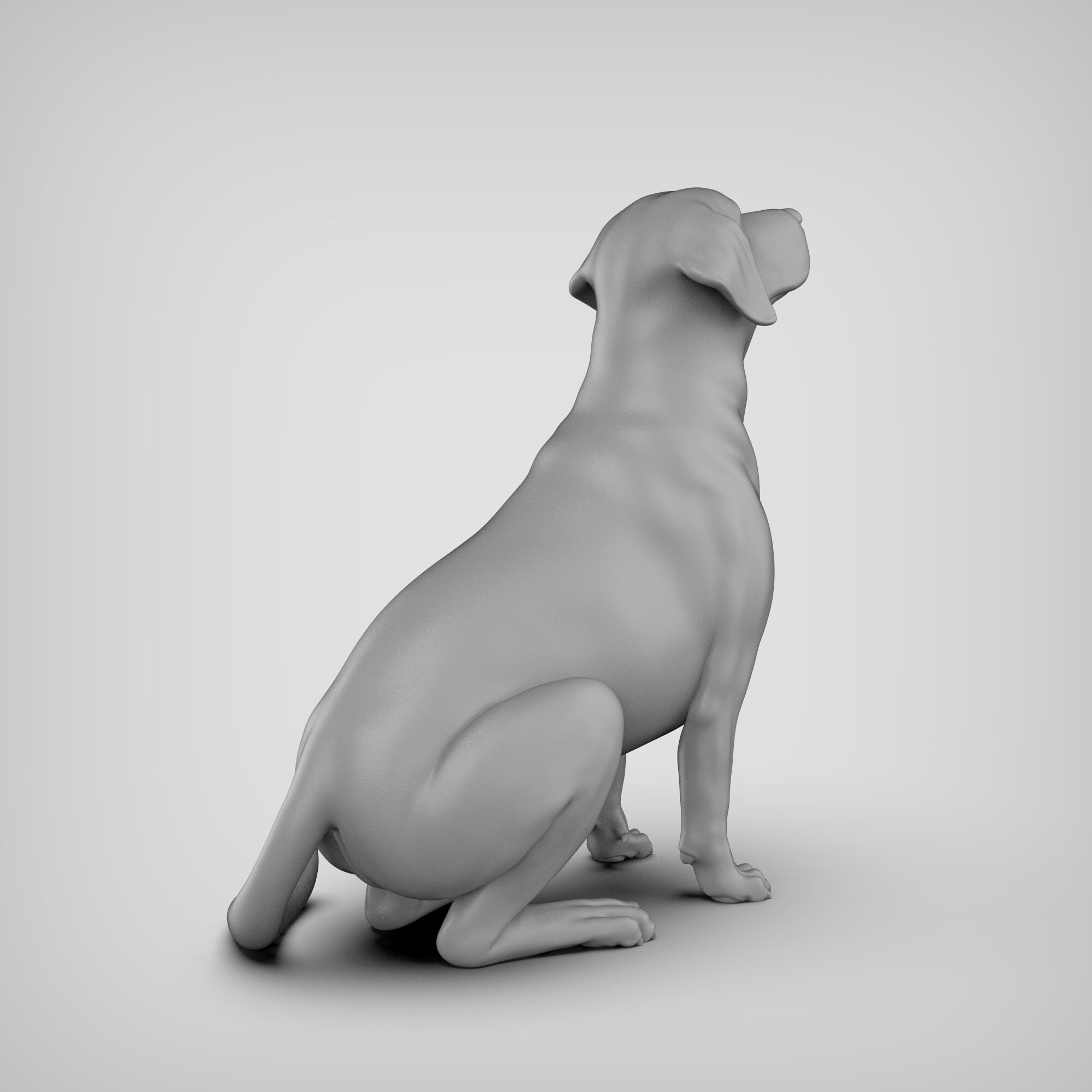 Labrador Retriever STL File 3D Print Model Pose 02 - Etsy UK