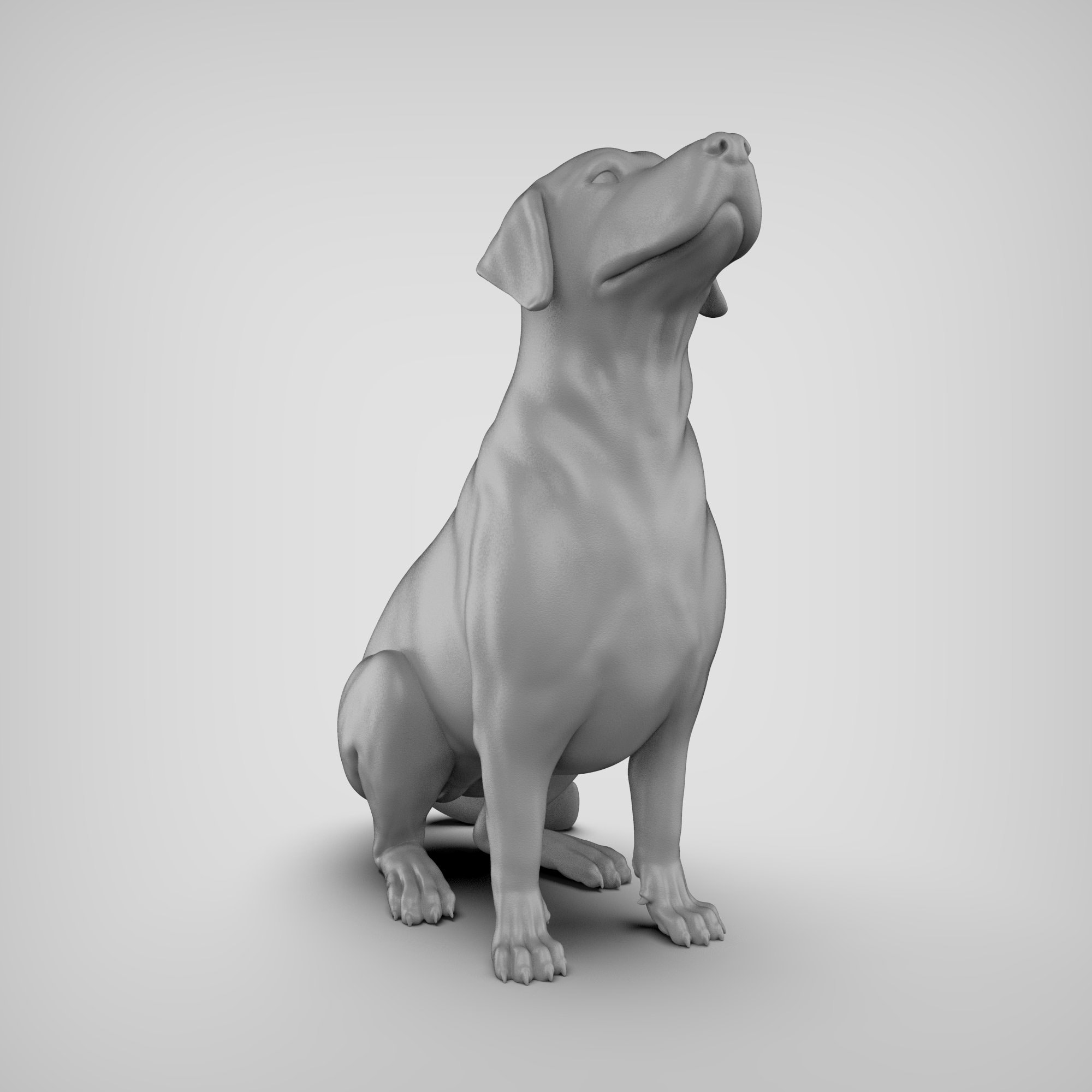 Labrador Retriever STL File 3D Print Model Pose 02 - Etsy UK