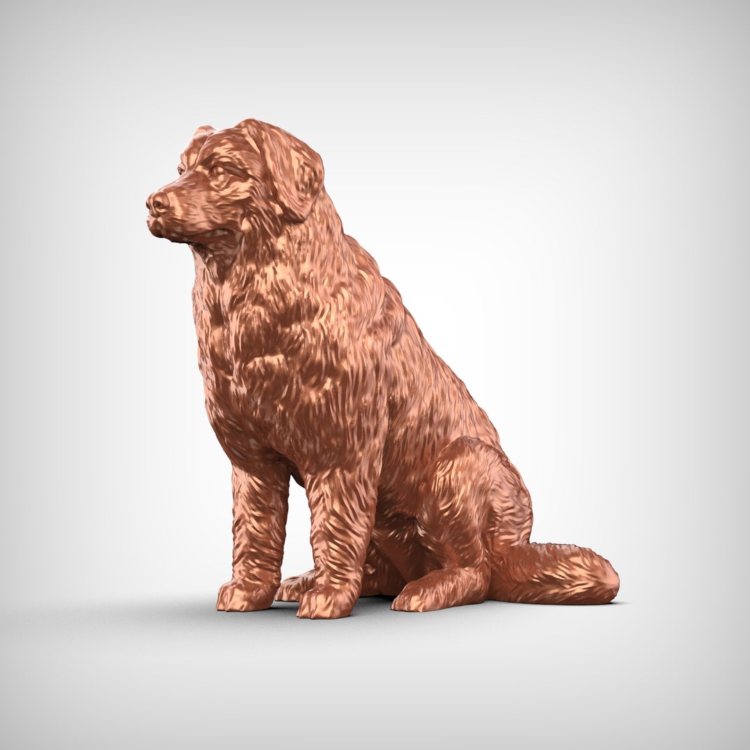 Bernese Mountain Dog 3D Print Model Pose 04 - Etsy