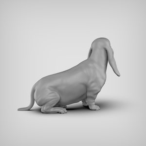 Basset Hound STL File 3D Print Model Pose 01 - Etsy
