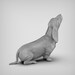 Basset Hound STL File 3D Print Model Pose 02 - Etsy