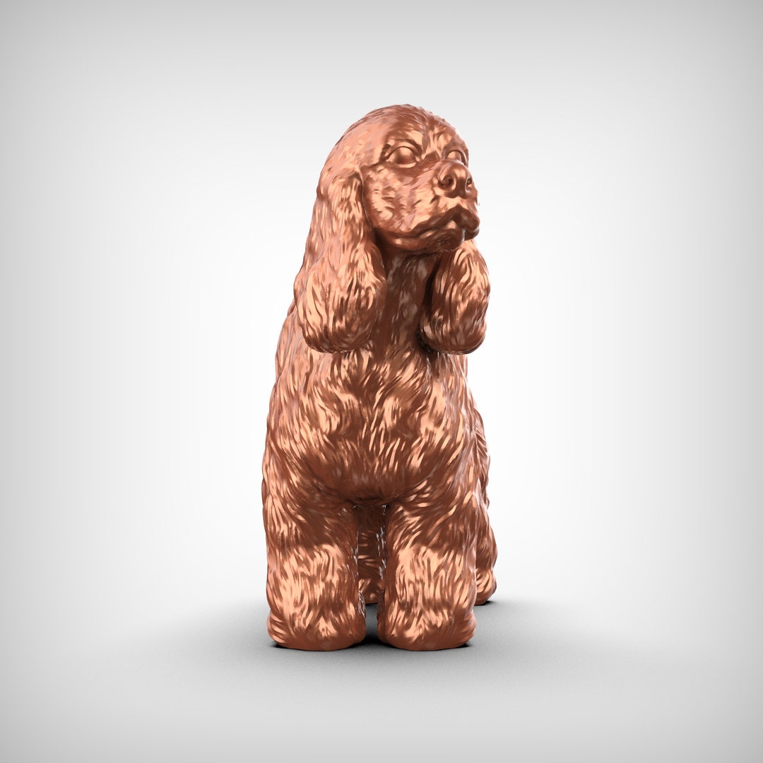 American Cocker Spaniel 3D Print Model Pose 02 - Etsy