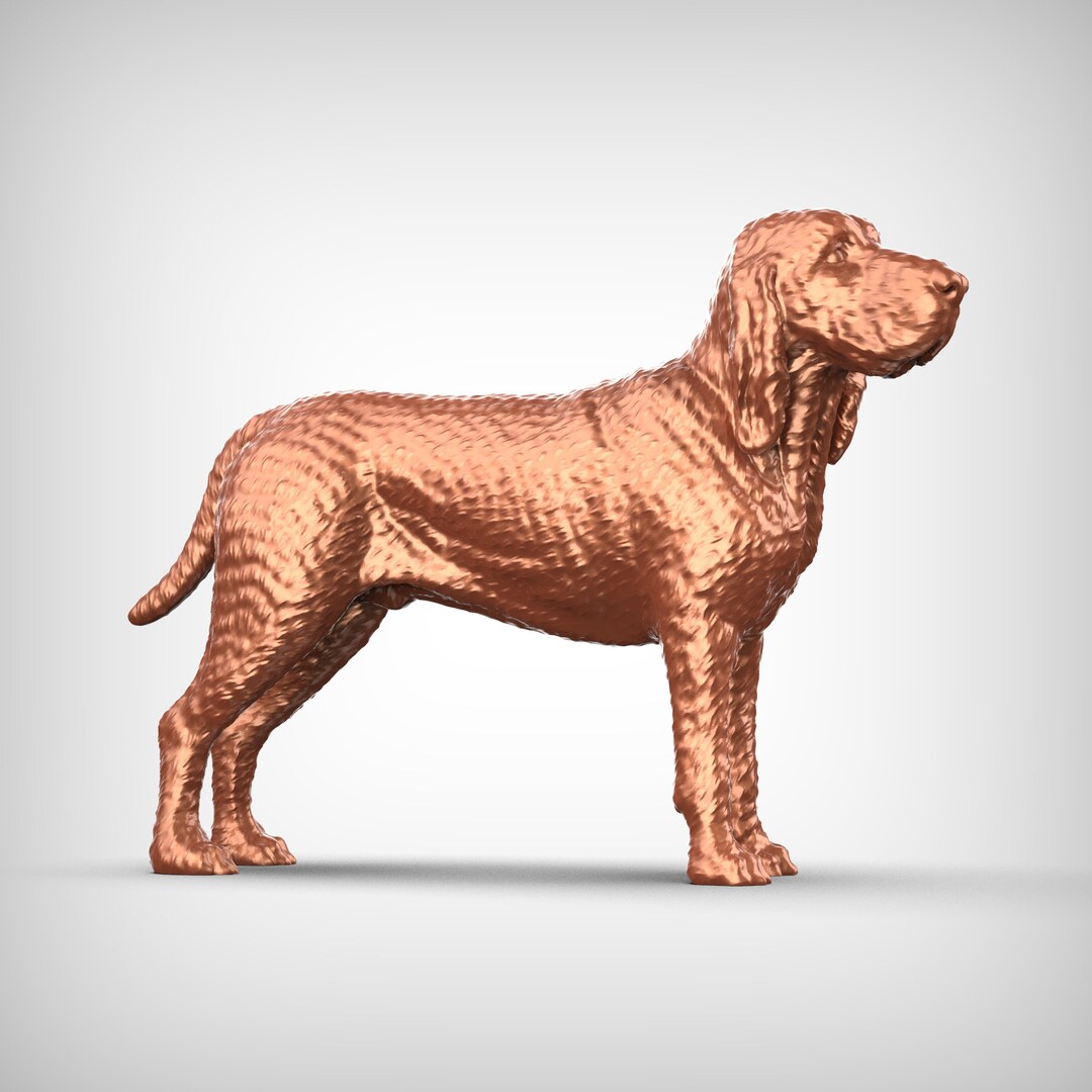 Bracco Italiano Dog 3D Print Model Pose 03 - Etsy