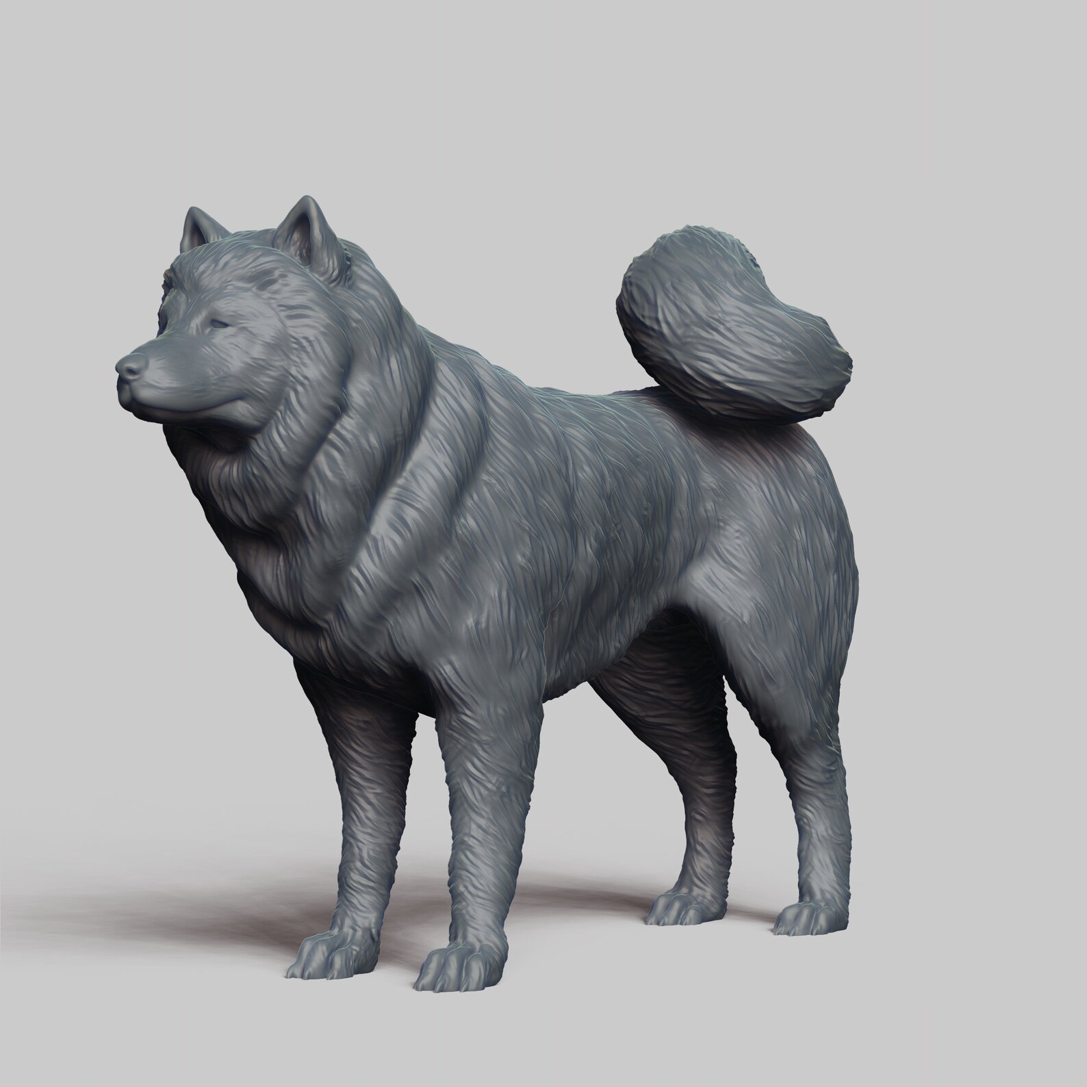 Samoyed STL File 3D Print Model V3 - Etsy Israel
