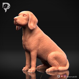 Beagle 3D Print Model Pose 05 - Etsy