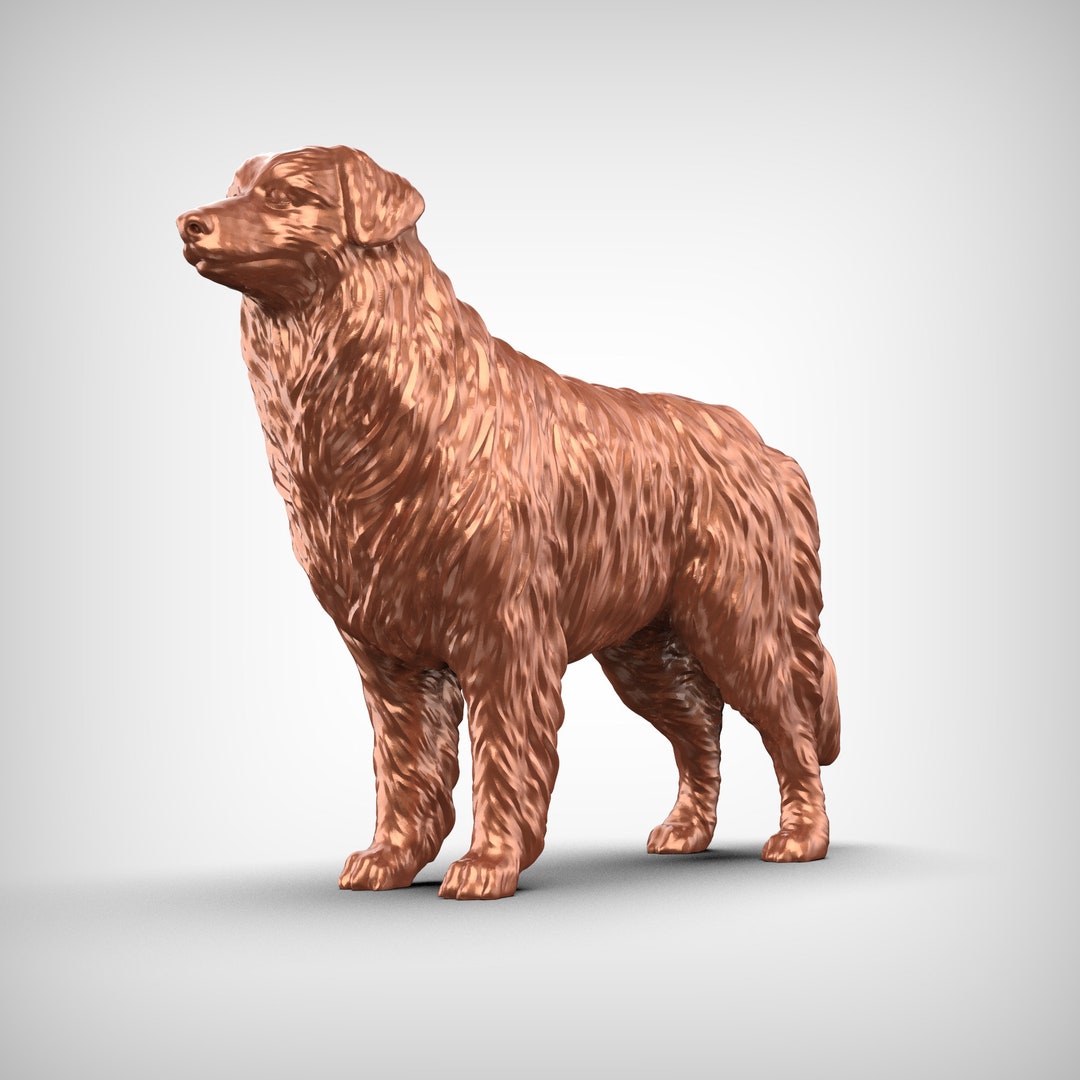 Australian Shepherd Dog 3D Print Model Pose 01 - Etsy