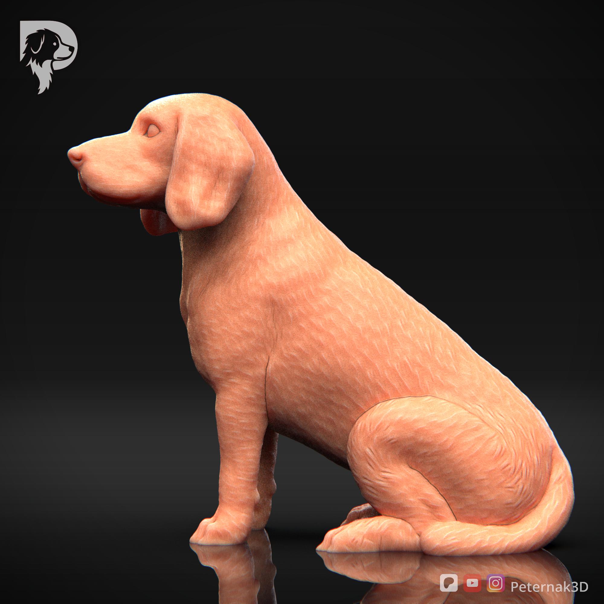Beagle 3D Print Model Pose 05 - Etsy
