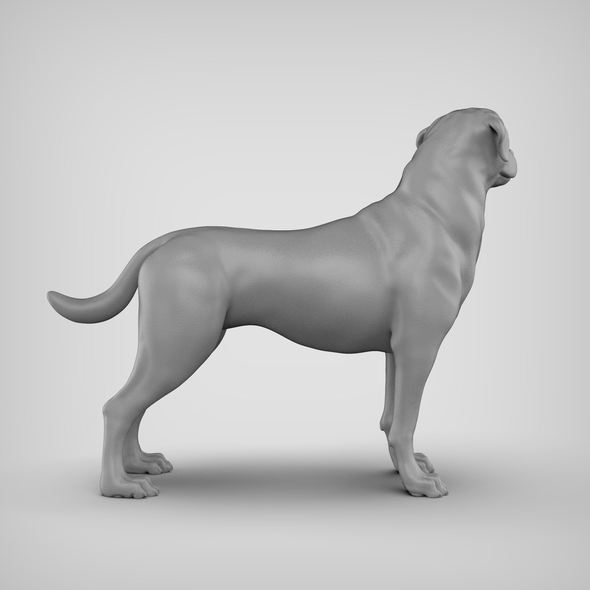 Rottweiler STL File 3D Print Model Pose 01 - Etsy