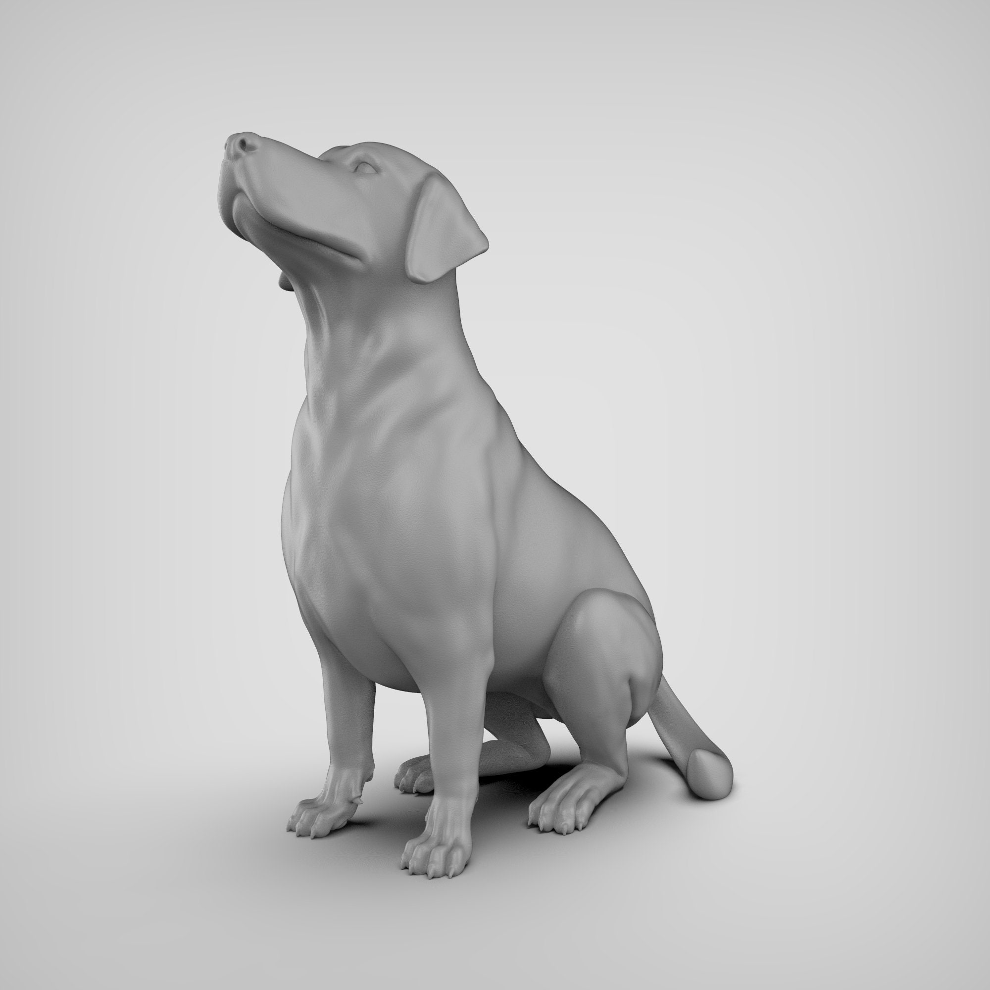 Labrador Retriever STL File 3D Print Model Pose 02 - Etsy UK