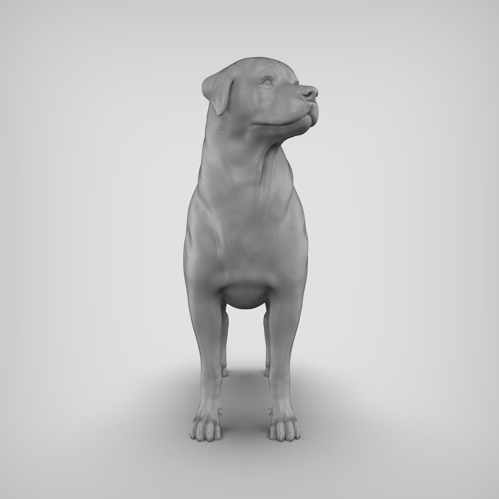 Rottweiler STL File 3D Print Model Pose 01 - Etsy