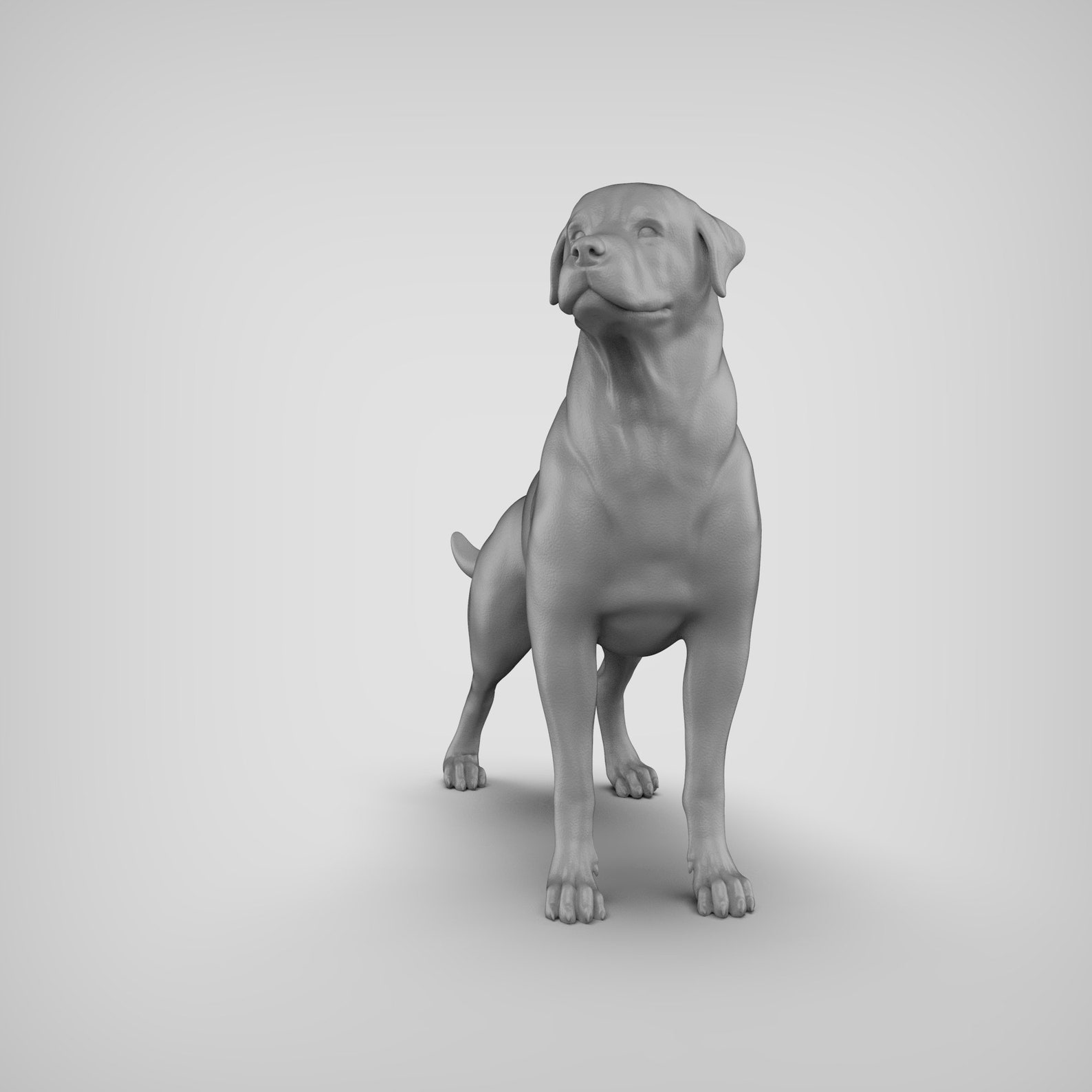 Rottweiler STL File 3D Print Model Pose 02 - Etsy