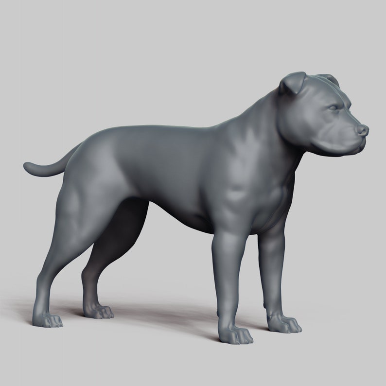 Staffy STL File 3D Print Model V3 - Etsy Canada