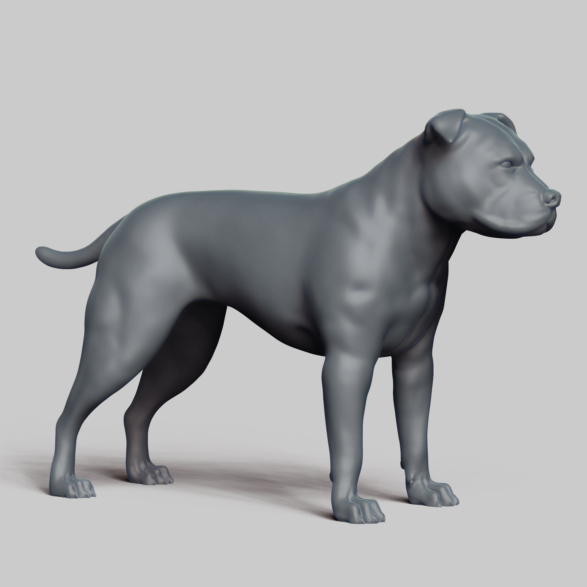 Staffy STL File 3D Print Model V3 | Etsy