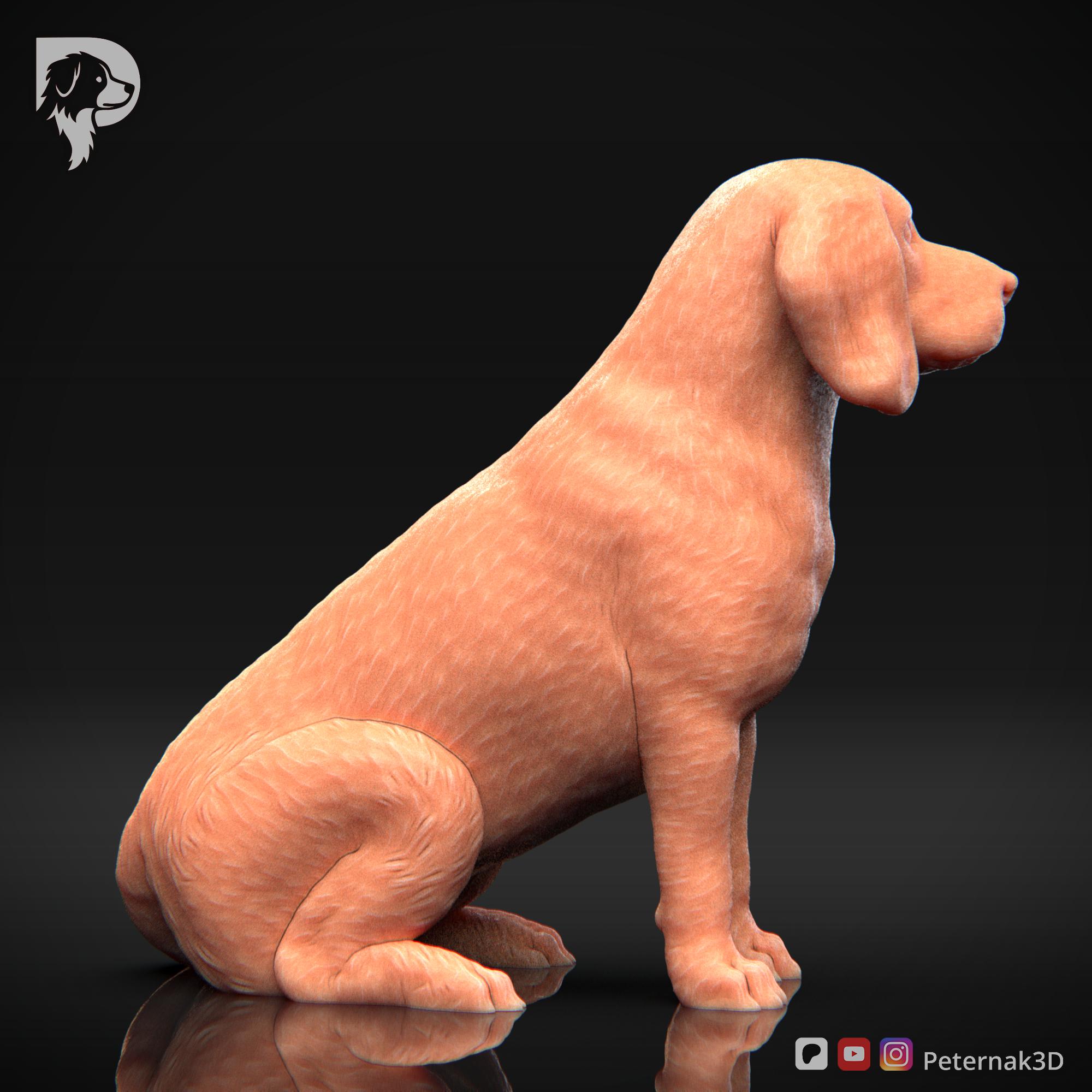 Beagle 3D Print Model Pose 05 - Etsy