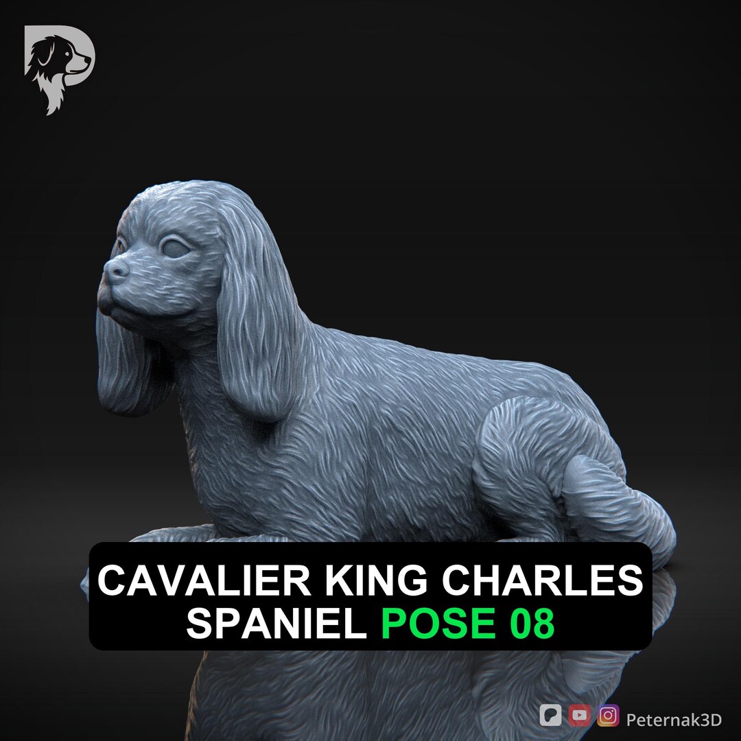 Cavalier King Charles Spaniel 3D Print Model Pose 08 - Etsy