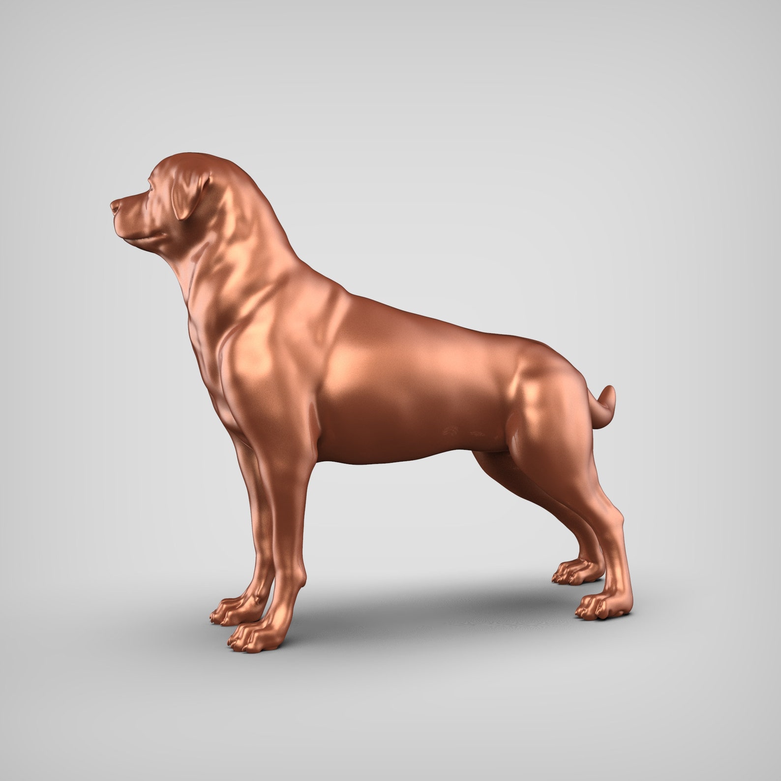 Rottweiler STL File 3D Print Model Pose 02 - Etsy