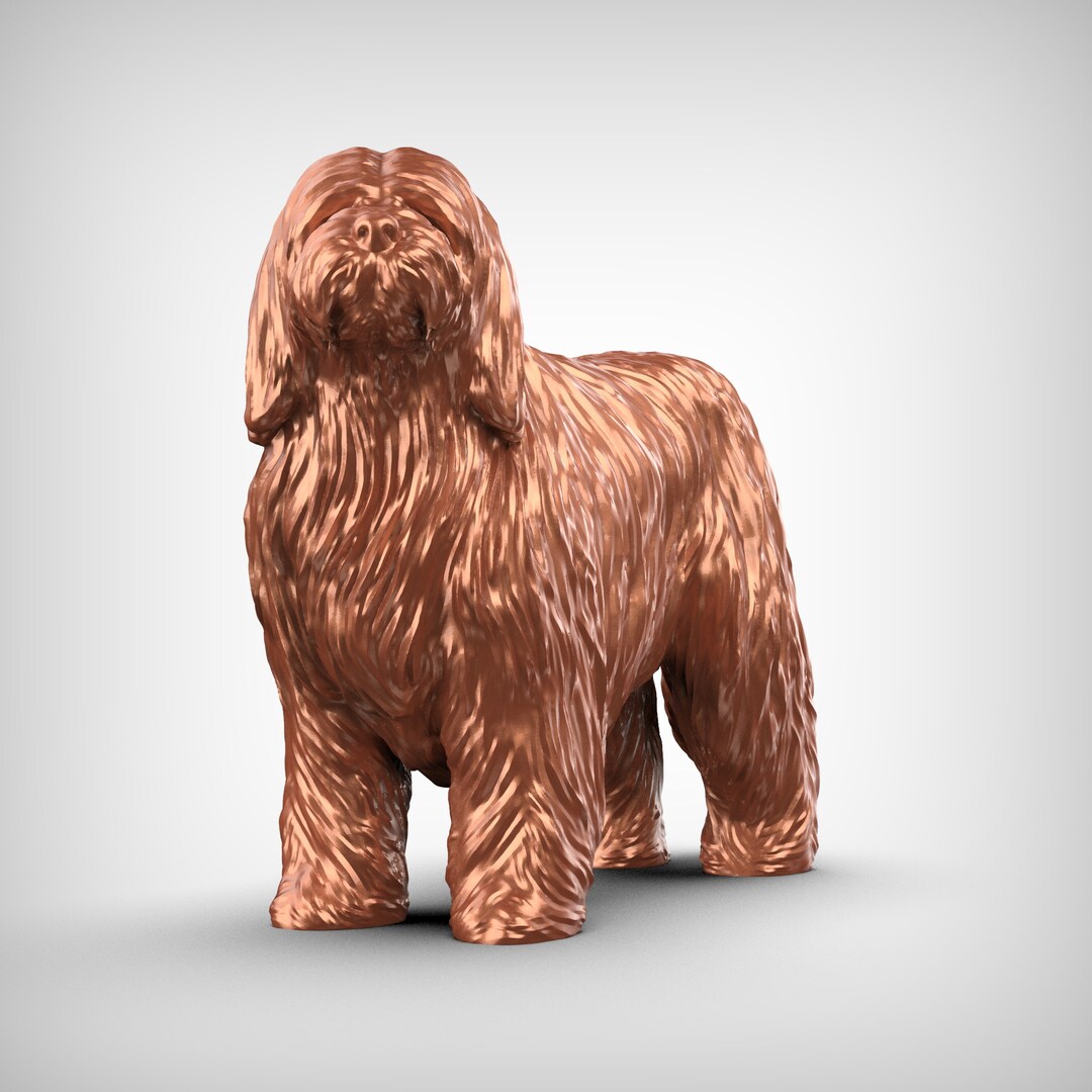 Bearded Collie 3D Print Model Pose 02 - Etsy UK