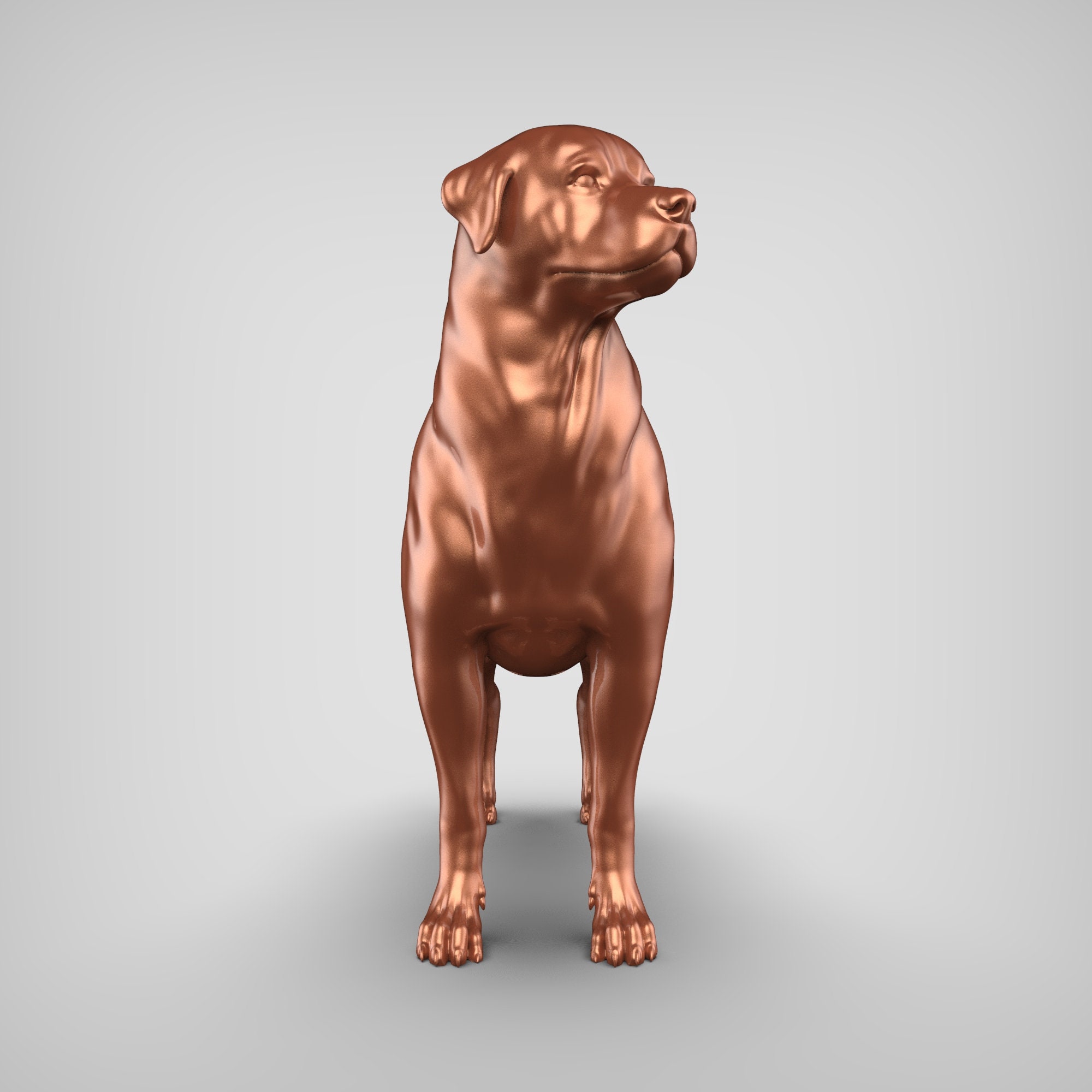 Rottweiler STL File 3D Print Model Pose 01 - Etsy