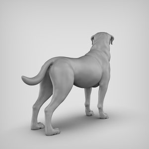 Rottweiler STL File 3D Print Model Pose 01 - Etsy
