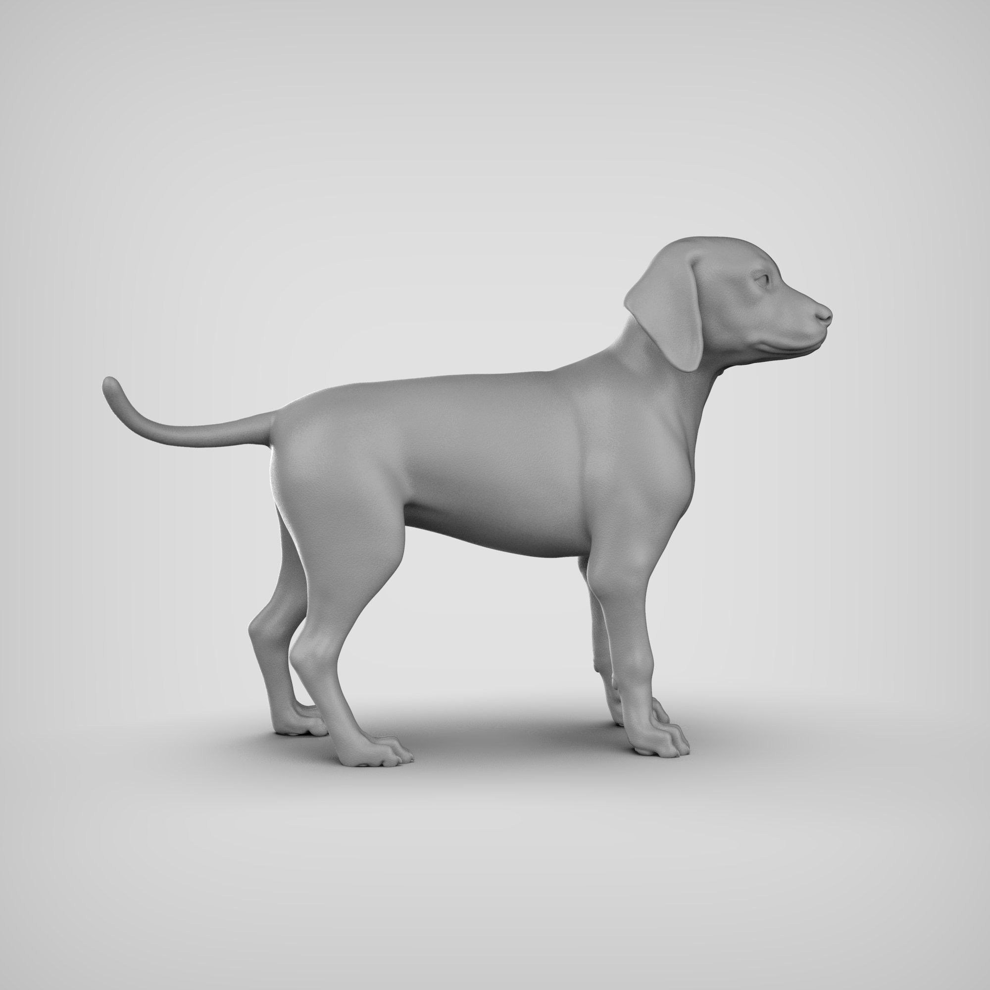 Dalmatian Puppy STL File 3D Print Model Pose 01 - Etsy