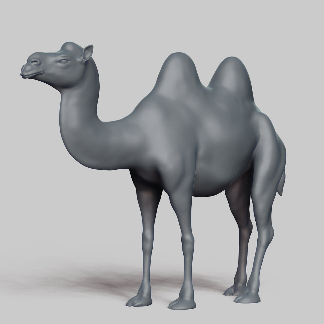Bactrian Camel STL File 3D Print Model Pose 01 - Etsy