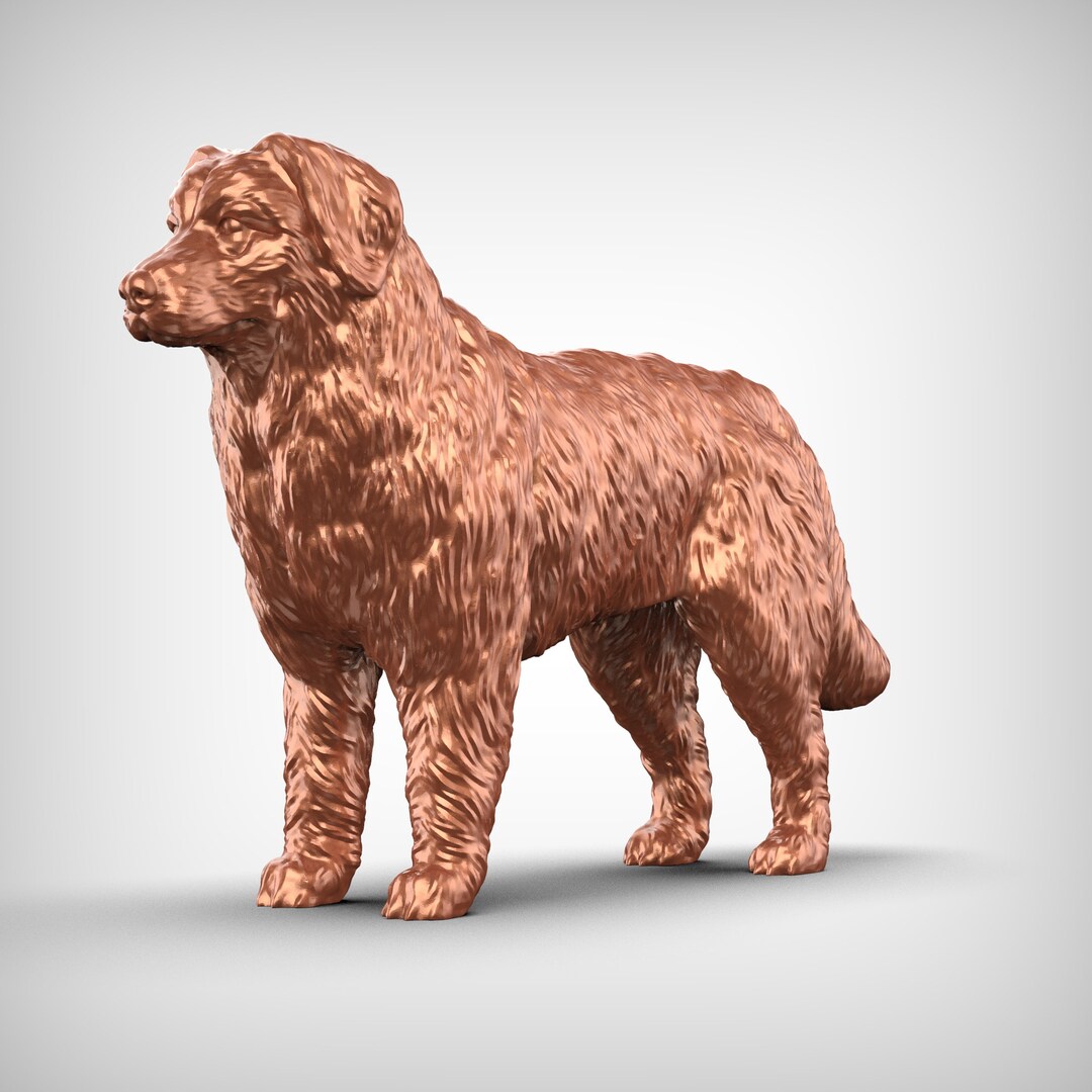 Bernese Mountain Dog 3D Print Model Pose 01 - Etsy
