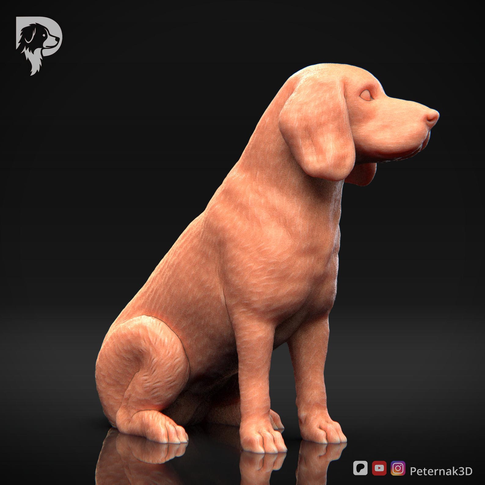 Beagle 3D Print Model Pose 05 - Etsy