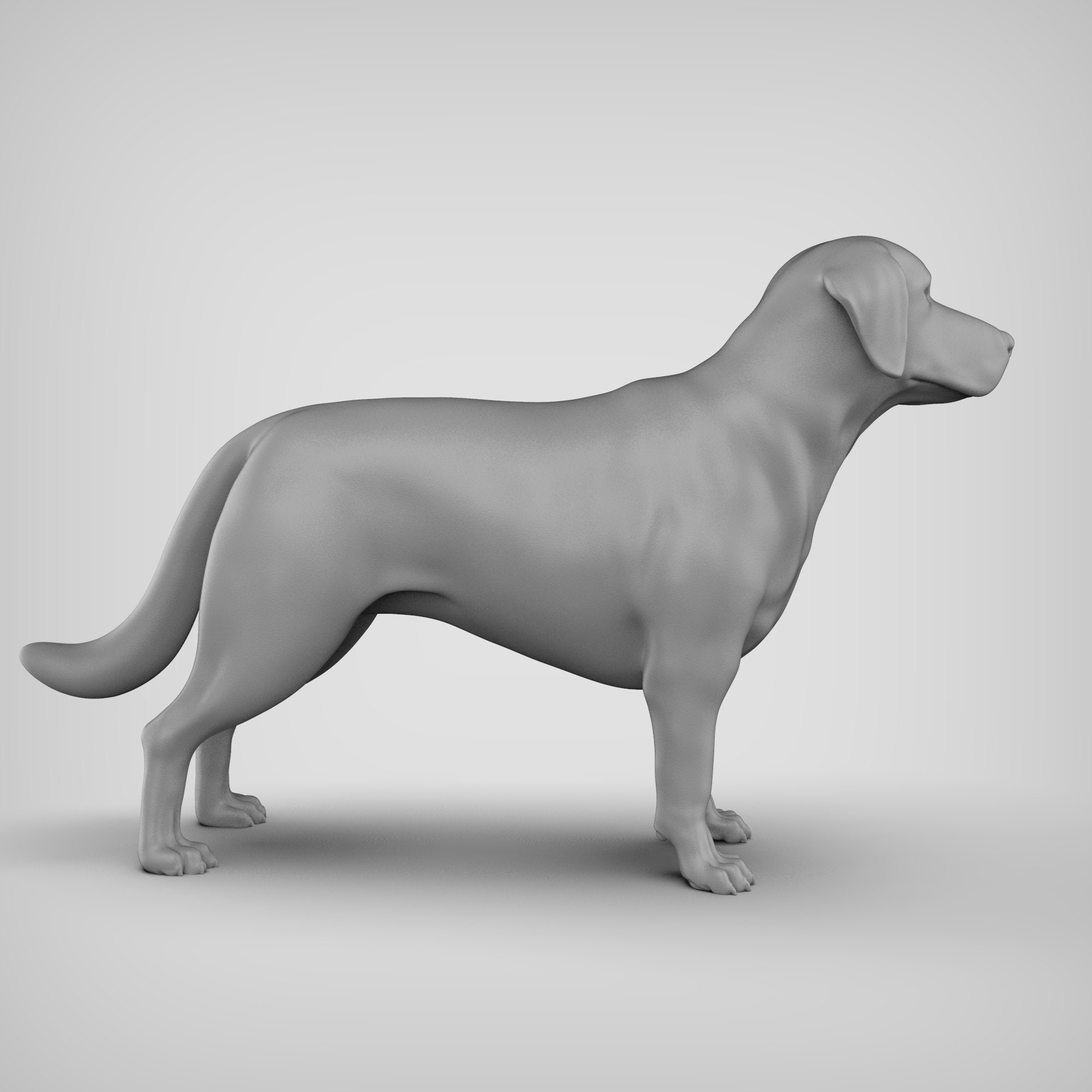 Labrador Retriever STL File 3D Print Model Pose 01 - Etsy