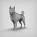 Siberian Husky STL File 3D Print Model Pose 02 - Etsy