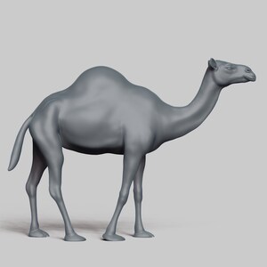 Camel STL File 3D Print Model Pose 03 - Etsy