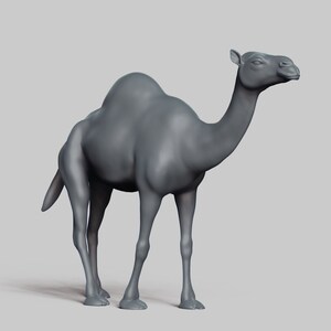 Camel STL File 3D Print Model Pose 03 - Etsy