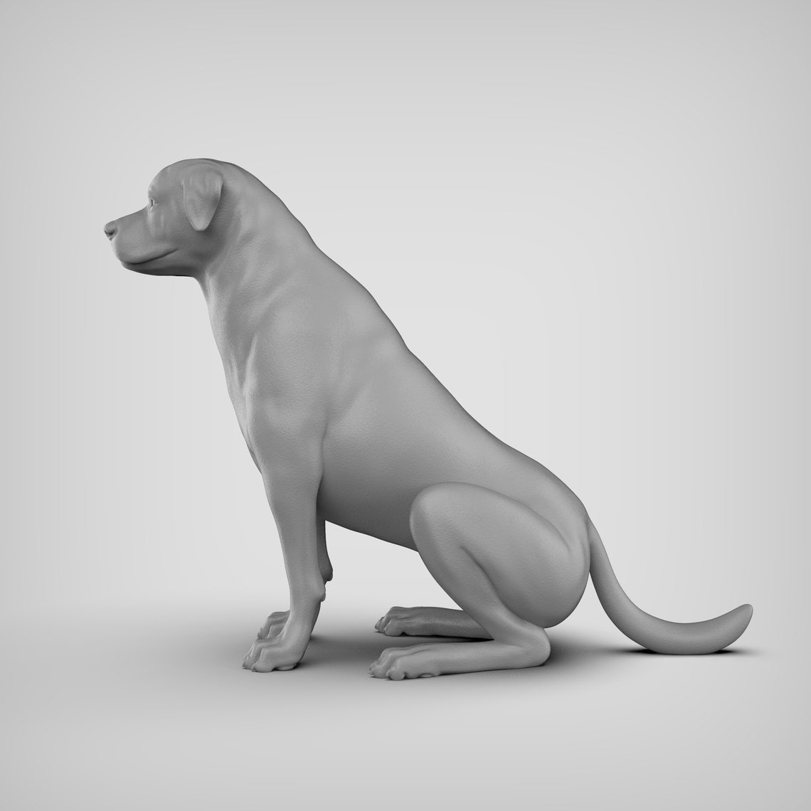 Rottweiler STL File 3D Print Model Pose 03 - Etsy