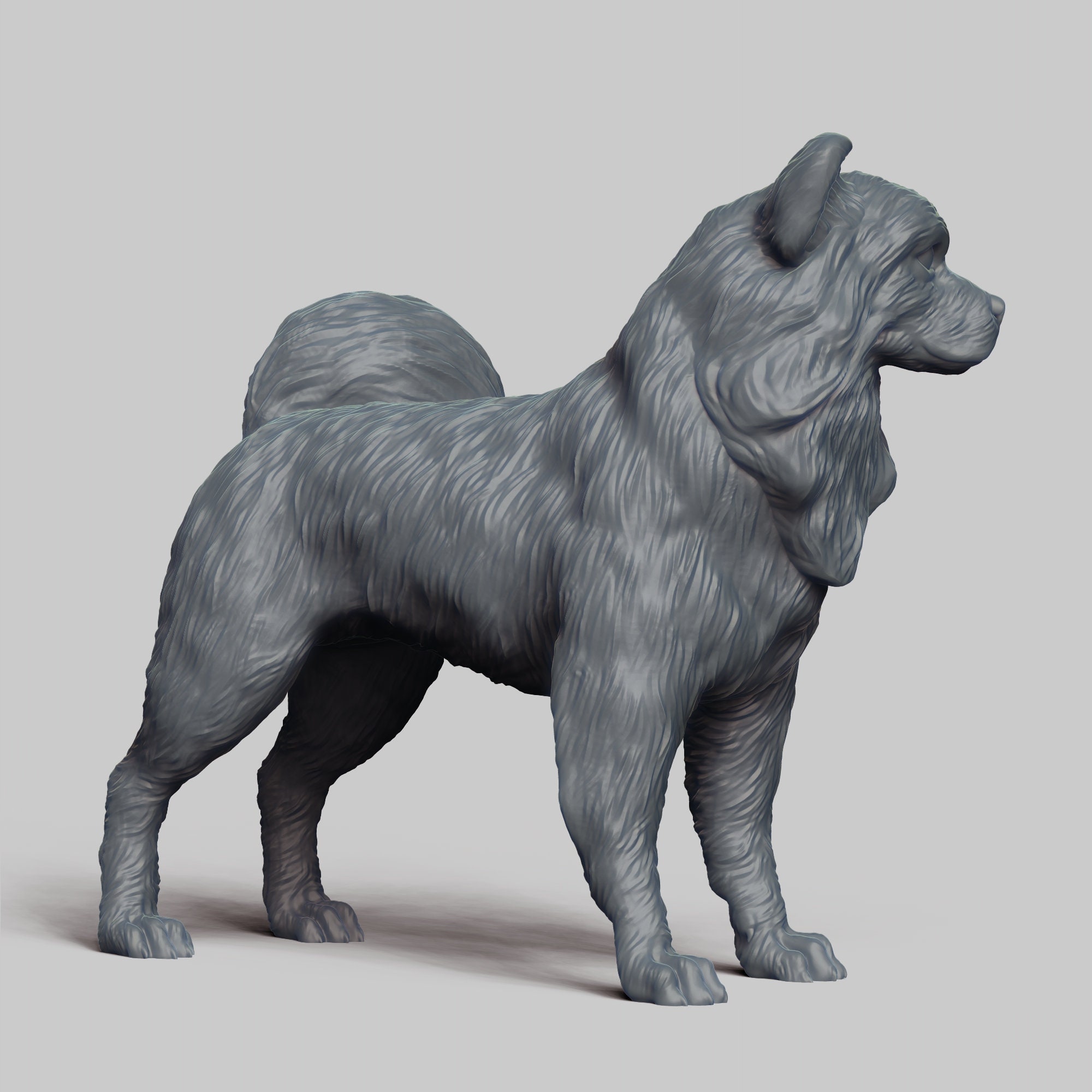 Papillon STL File 3D Print Model V1 | Etsy