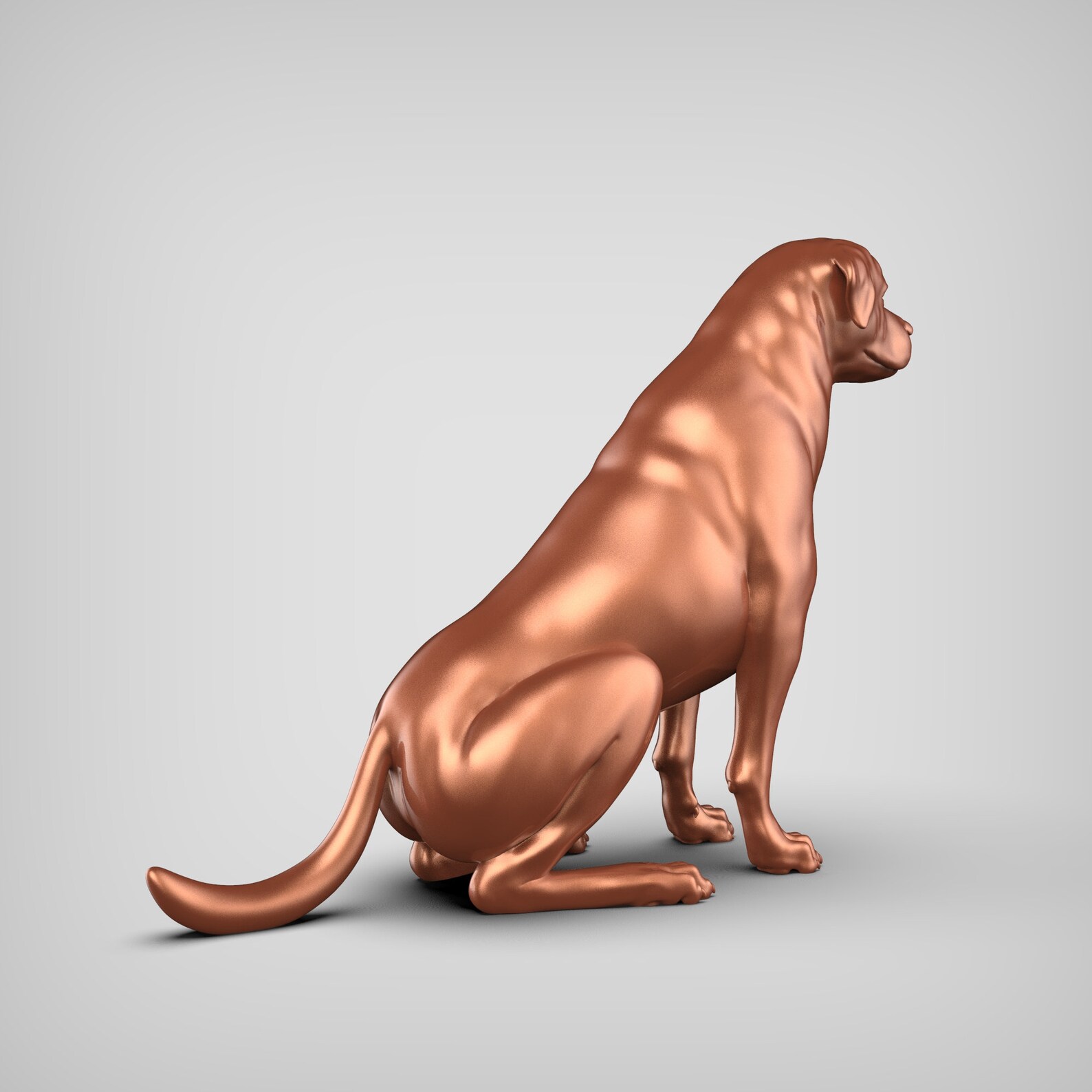 Rottweiler STL File 3D Print Model Pose 03 - Etsy