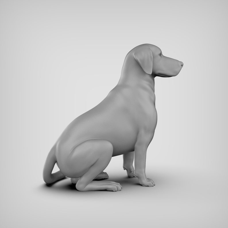 Labrador Retriever STL File 3D Print Model Pose 03 - Etsy Singapore