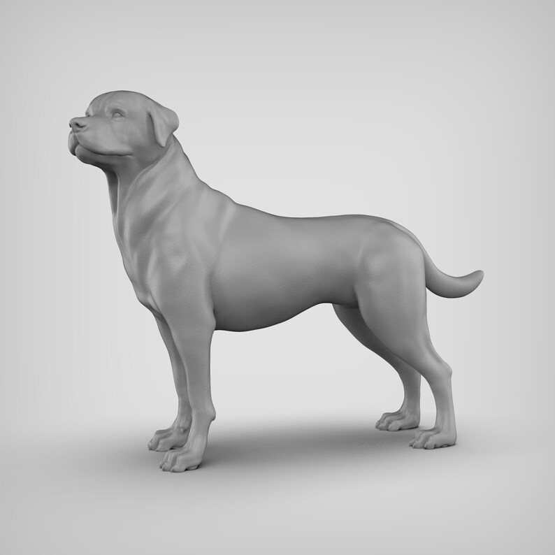 Rottweiler STL File 3D Print Model Pose 01 - Etsy