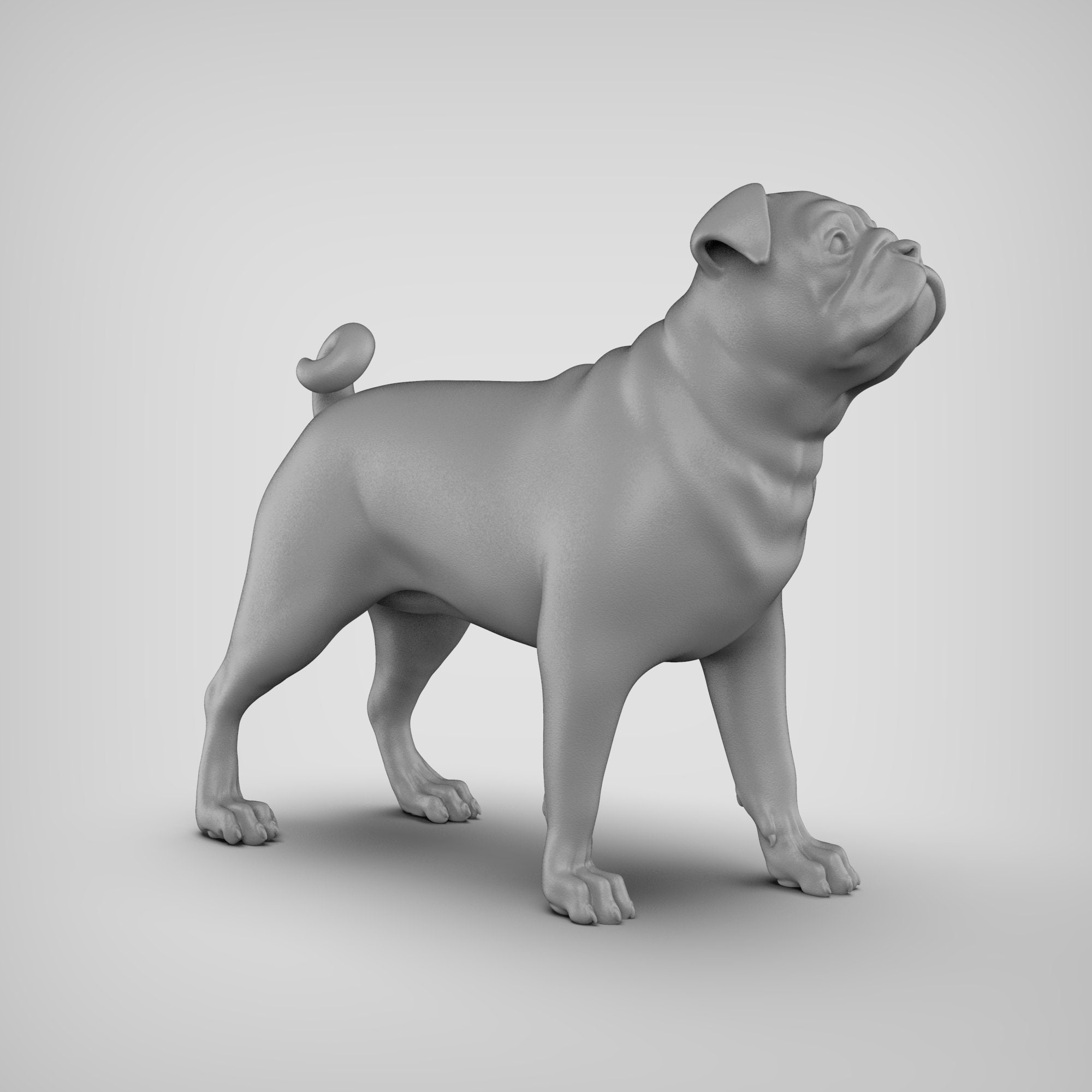 Pug Dog STL File 3D Print Model Pose 02 - Etsy