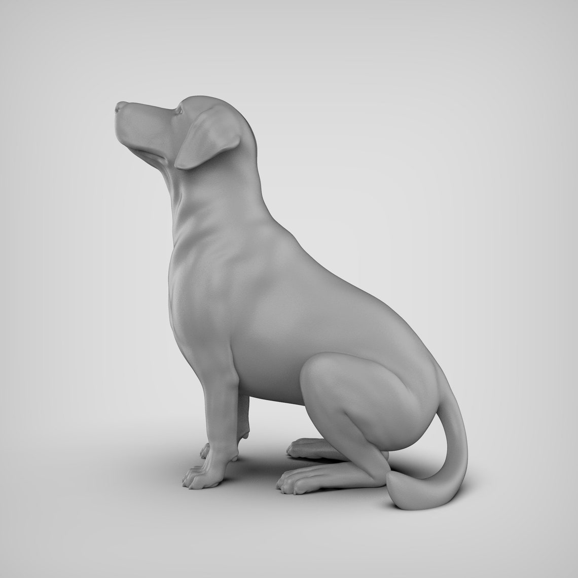 Labrador Retriever STL File 3D Print Model Pose 02 - Etsy UK