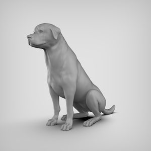 Rottweiler STL File 3D Print Model Pose 03 - Etsy