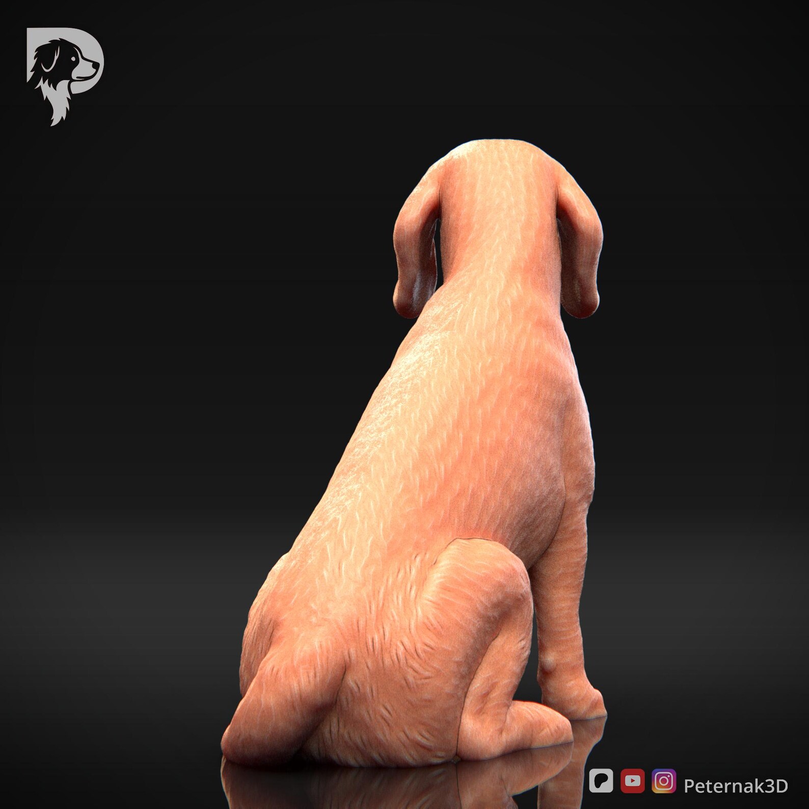 Beagle 3D Print Model Pose 05 - Etsy
