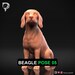 Beagle 3D Print Model Pose 05 - Etsy