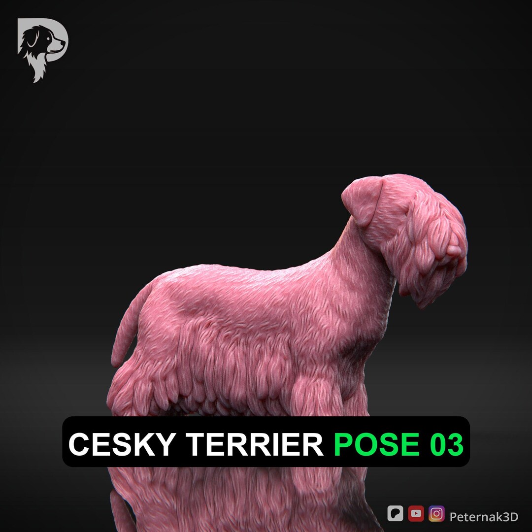 Cesky Terrier Dog 3D Print Model Pose 03 - Etsy