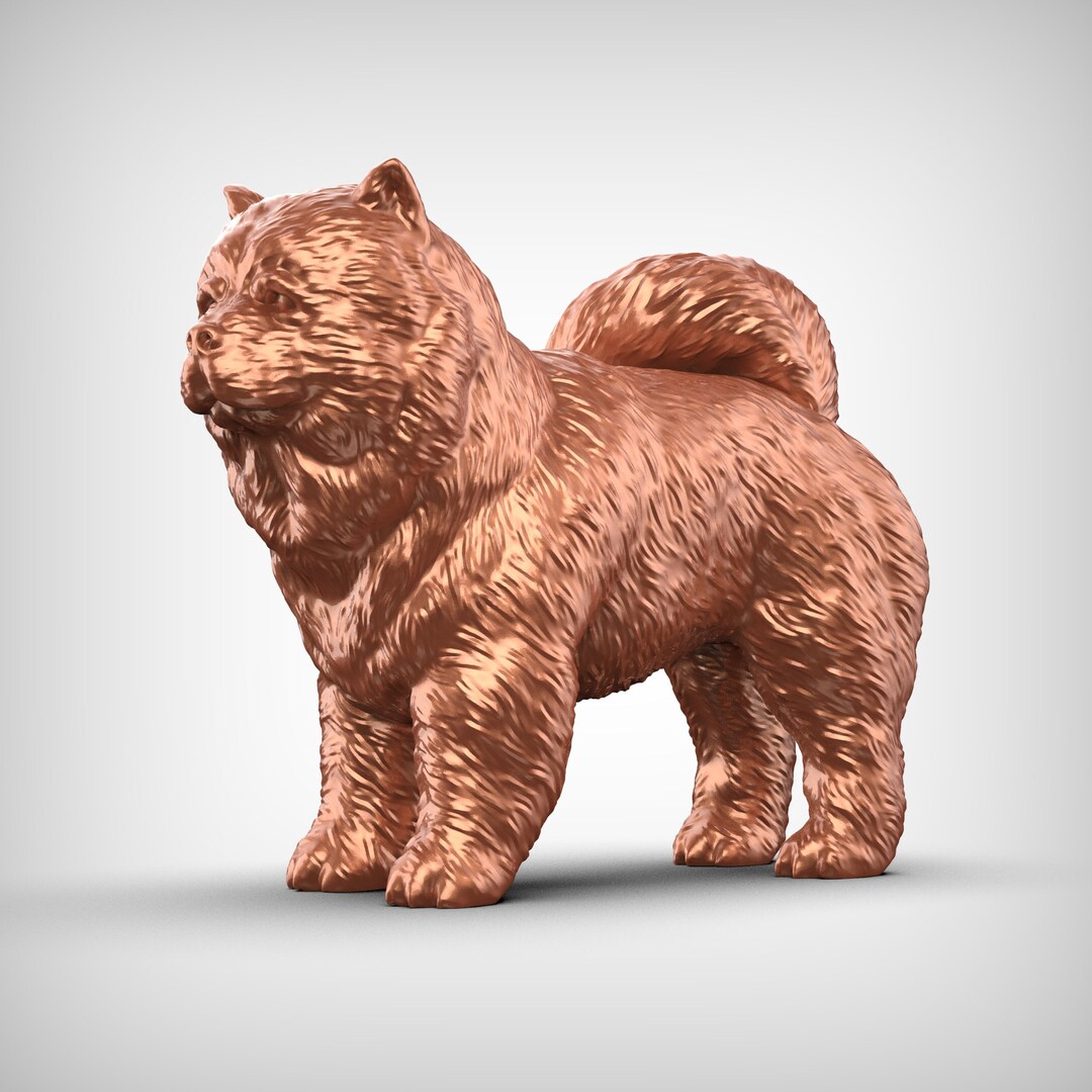 Chow Chow Smooth Dog 3D Print Model Pose 02 - Etsy