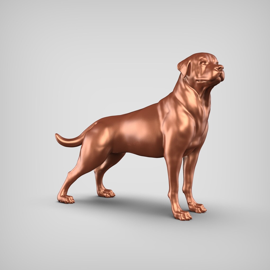 Rottweiler STL File 3D Print Model Pose 02 - Etsy Israel